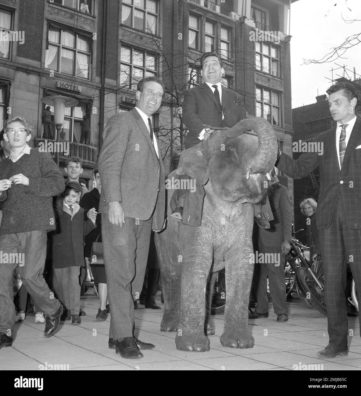 Man riding baby elephant elephant Black and White Stock Photos & Images ...