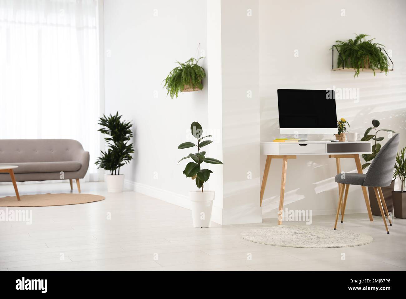 Modern workplace in room decorated with green potted plants. Home ...