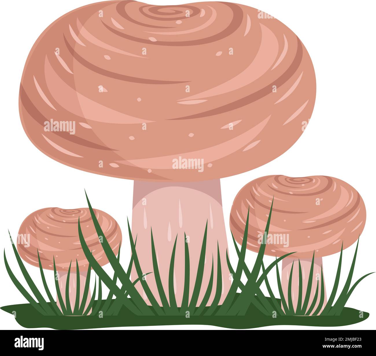 Sharp agaric in forest nature. Growing mushroom icon Stock Vector Image ...