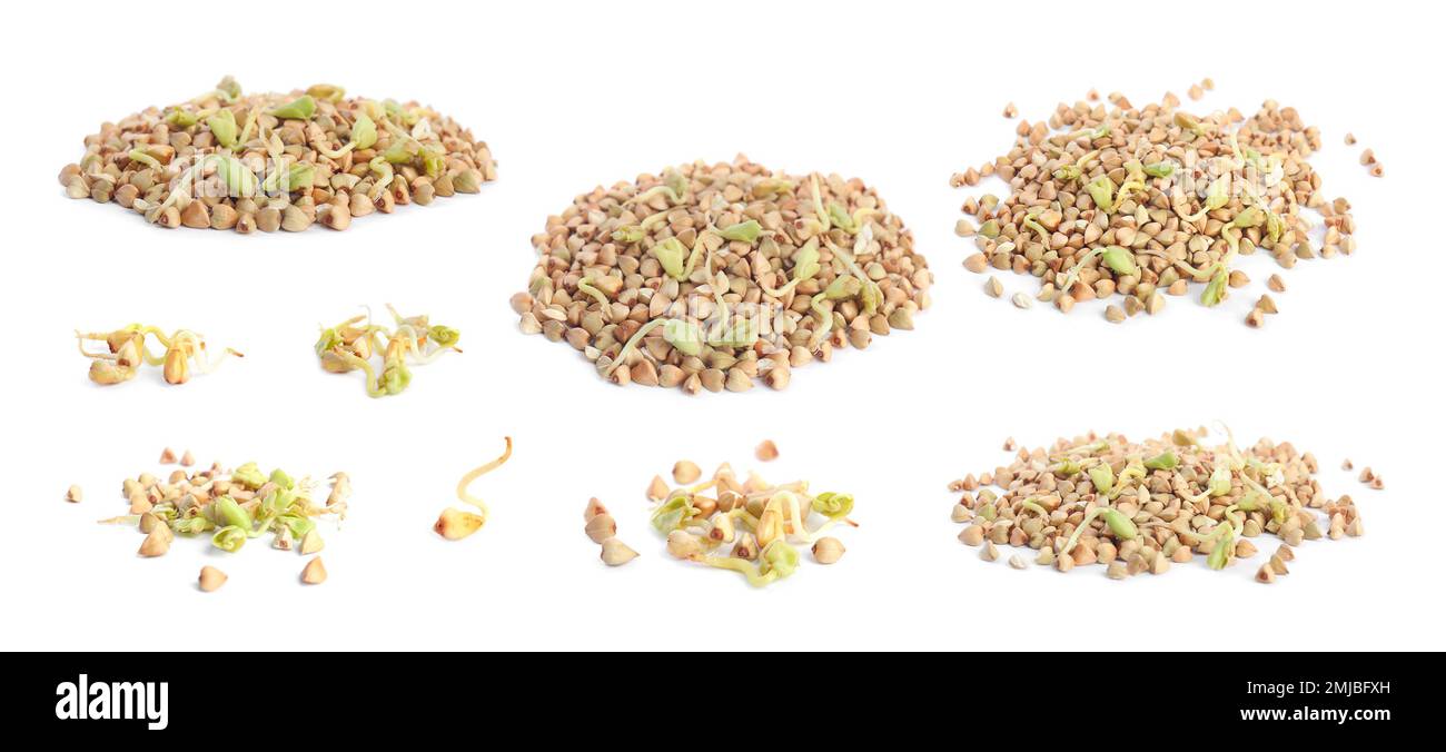 Set of sprouted green buckwheat grains isolated on white Stock Photo ...