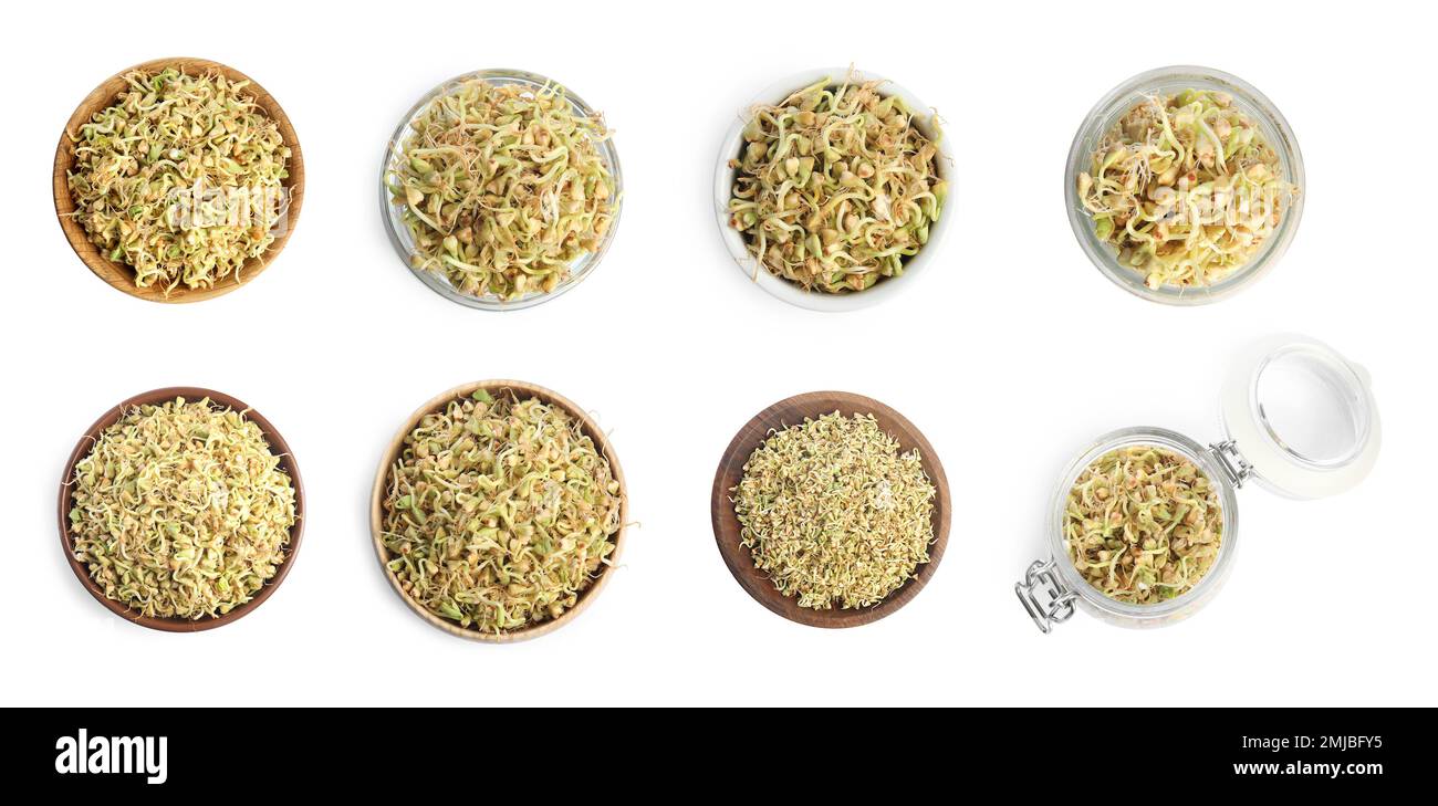 Set of sprouted green buckwheat isolated on white, top view Stock Photo ...