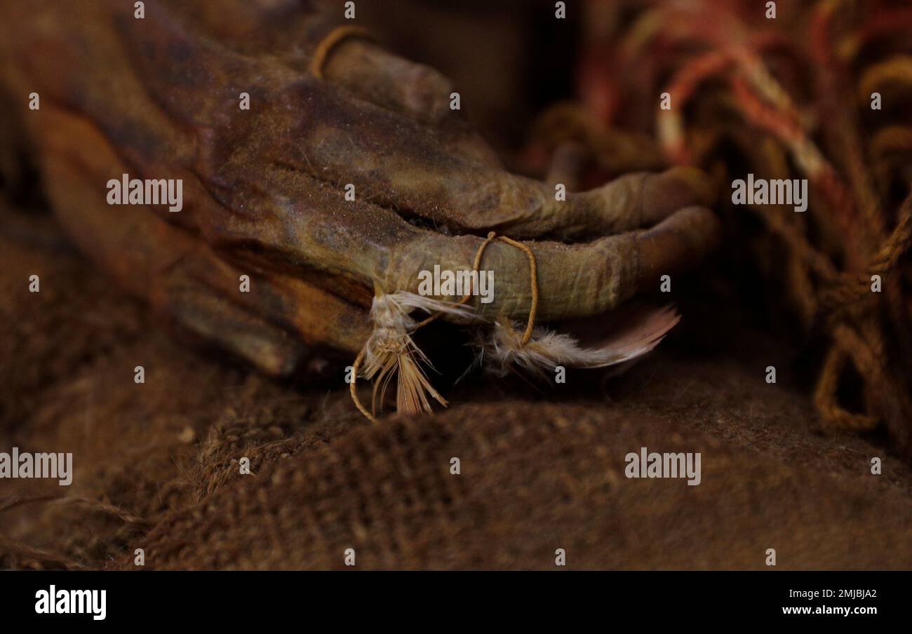 This Aug. 15, 2019 photo shows a 500-year-old mummy of an Incan girl ...