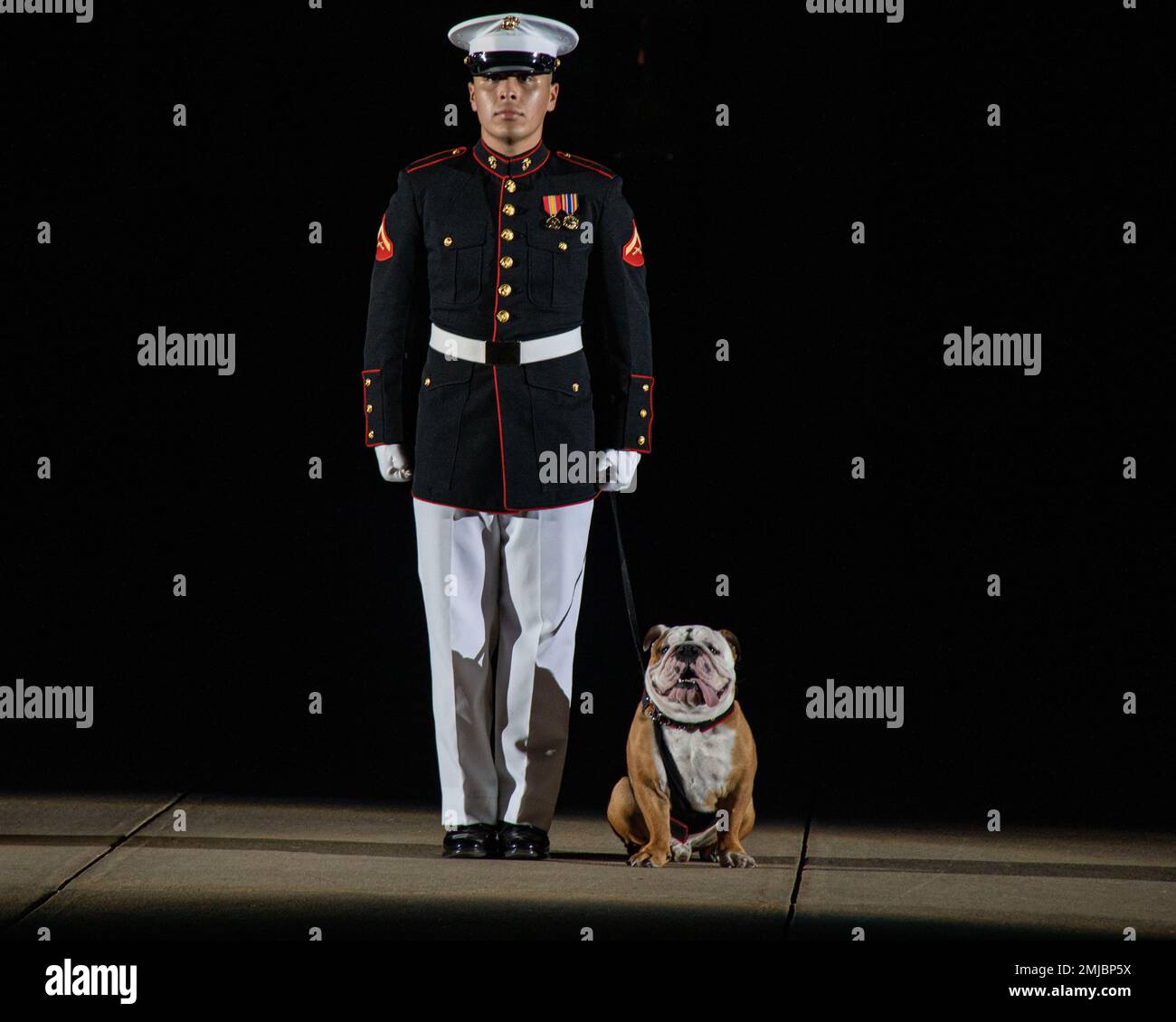 Lance Cpl. Albert A. Diaz, dog handler and Pvt. Chesty XVI, the ...