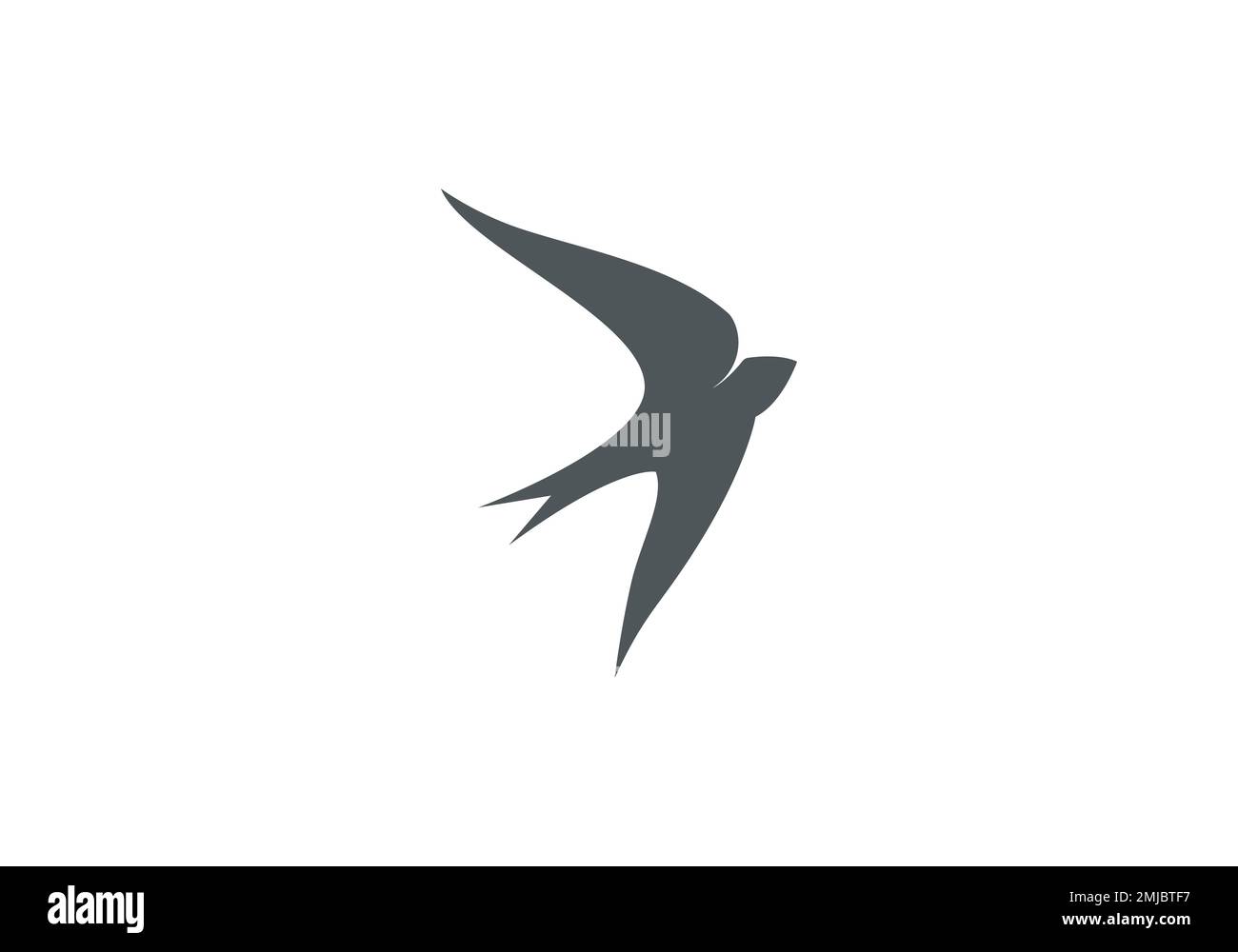 bird logo design for your business Stock Vector Image & Art - Alamy