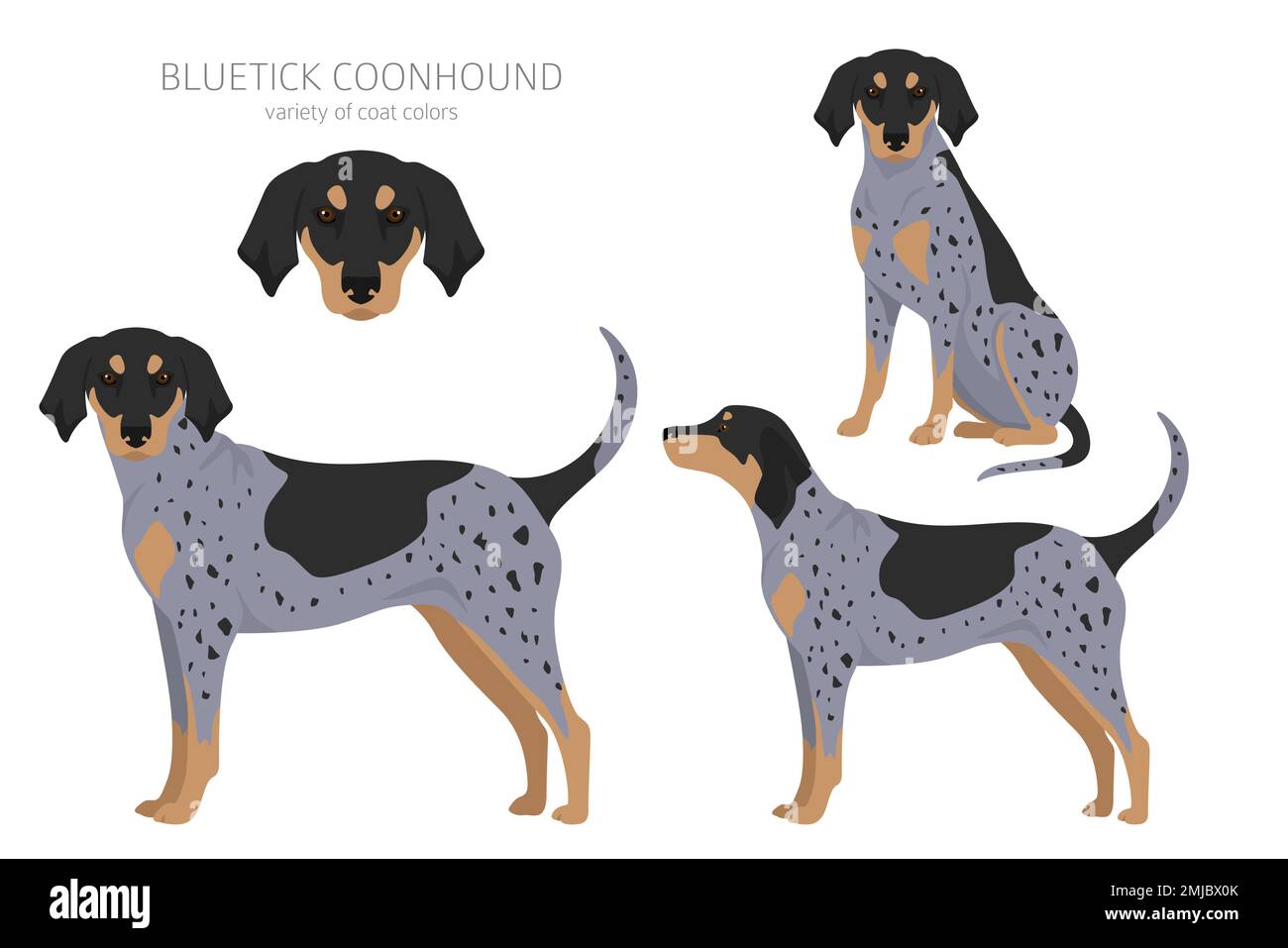 Bluetick Coonhounds