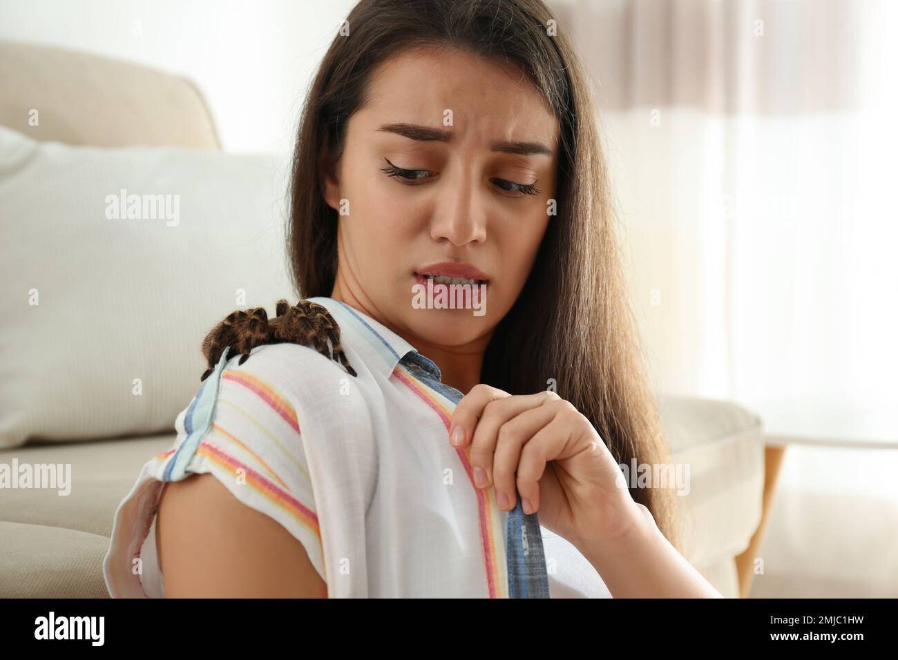 Scared young woman with tarantula at home. Arachnophobia (fear of ...