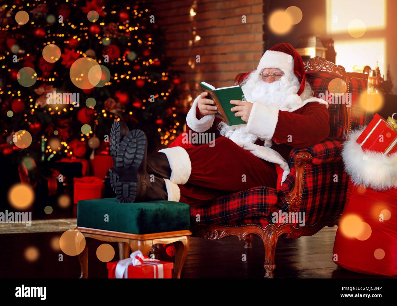 Adult reading near christmas tree hi-res stock photography and images ...