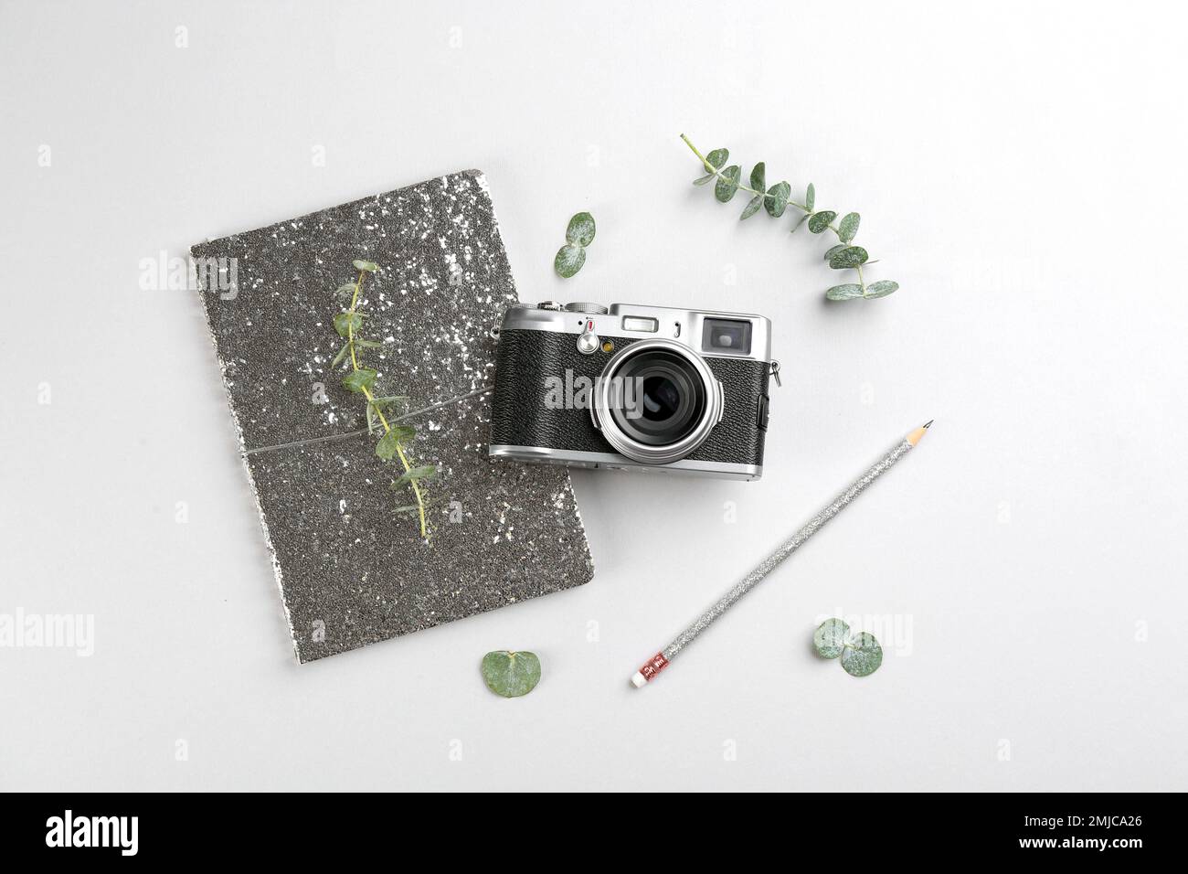 Flat lay composition with camera for professional photographer and ...