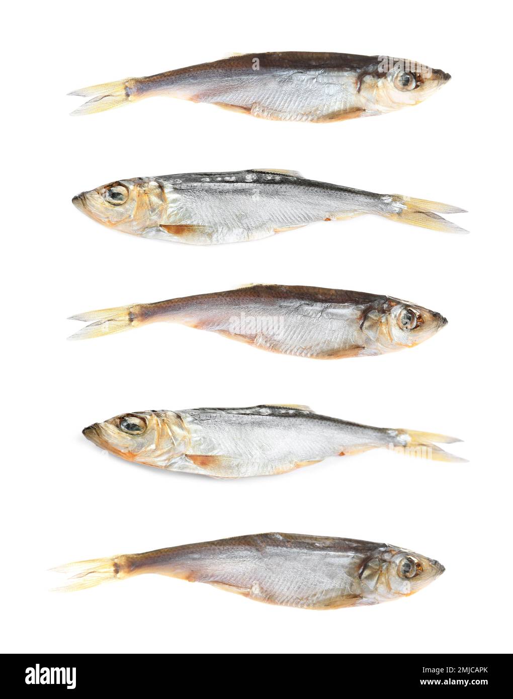 Set of tasty dry fish on white background Stock Photo - Alamy