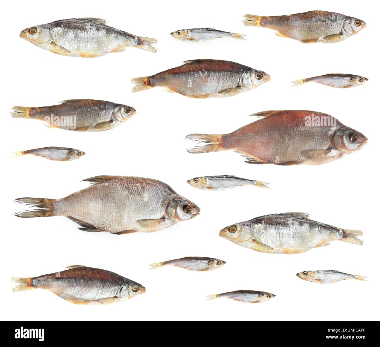 Set of tasty dry fish on white background Stock Photo - Alamy