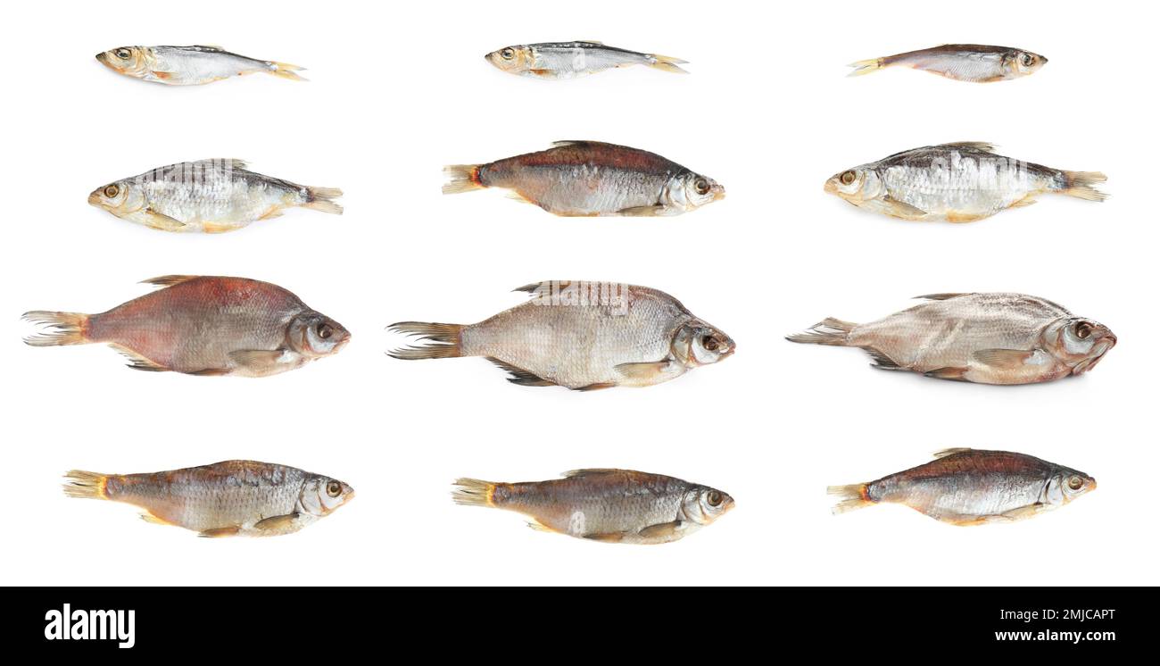 Set of tasty dry fish on white background Stock Photo - Alamy