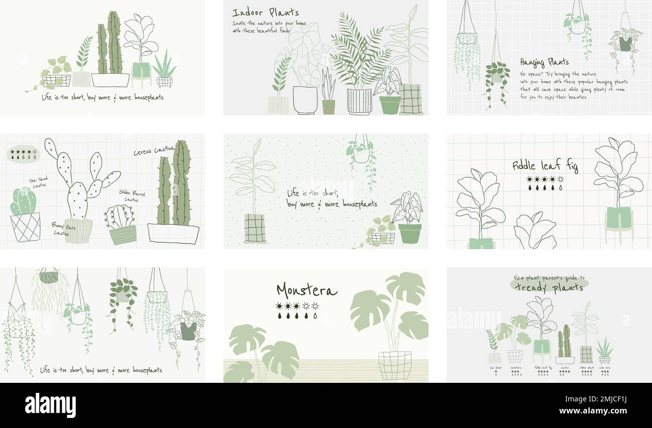 Houseplant botanical template vector set for blog banner Stock Vector ...