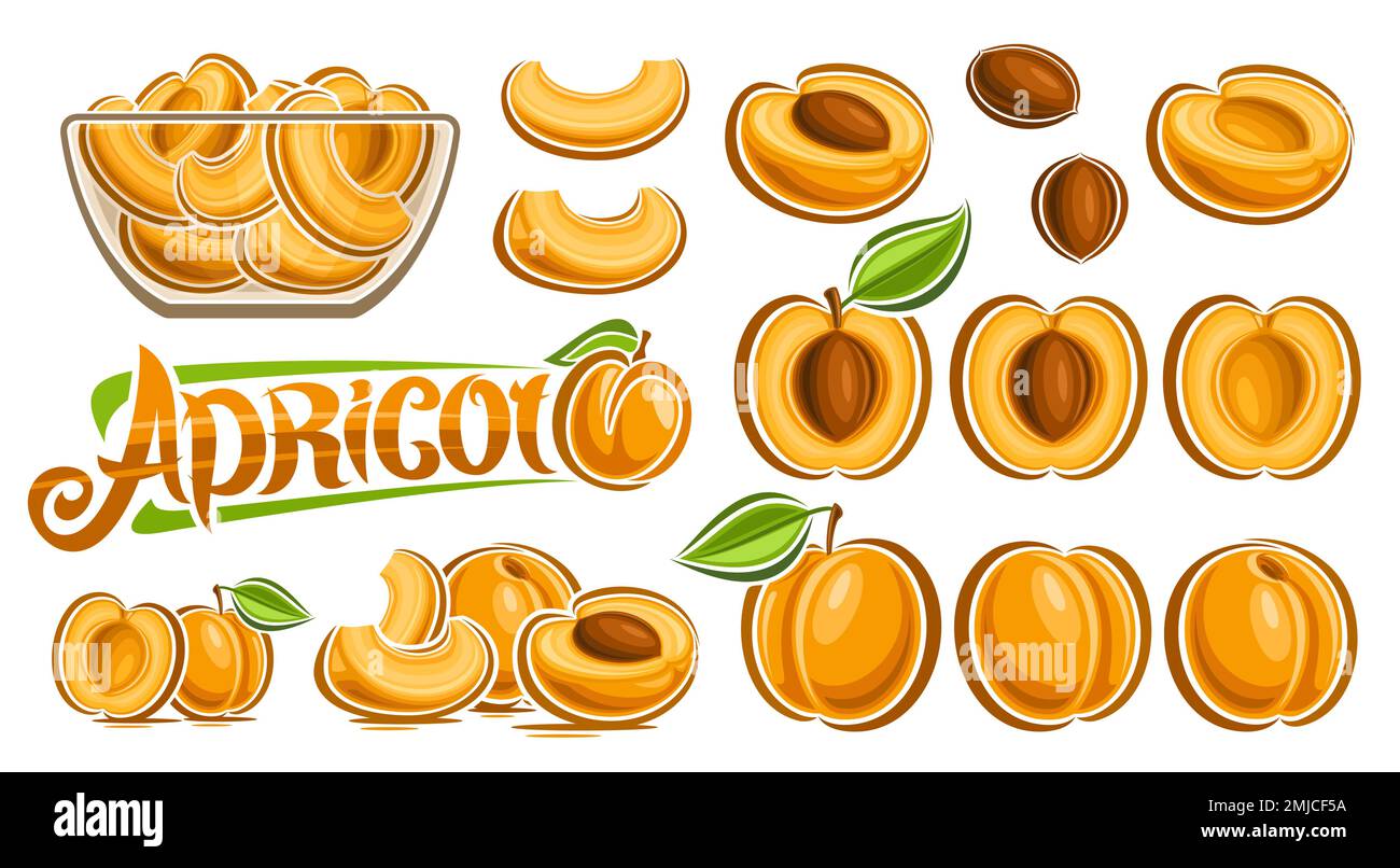 Vector Apricot Set, horizontal banner with lot collection of cut out ...