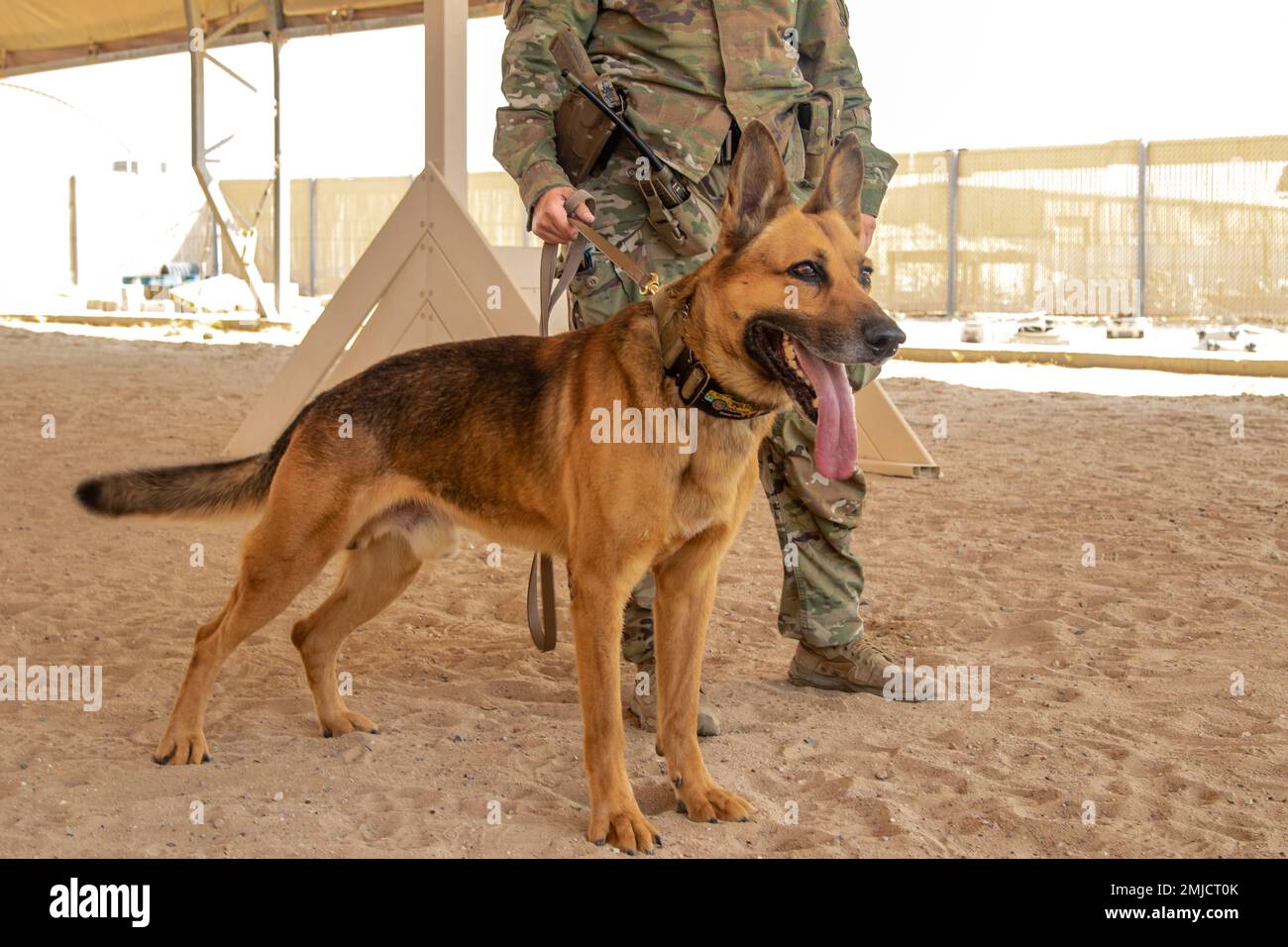 Soldiers from the 35th Infantry Division train with Airmen from the ...