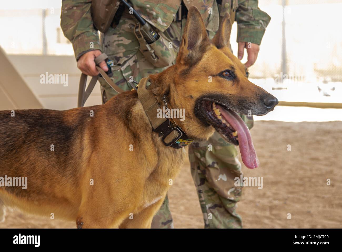 Soldiers from the 35th Infantry Division train with Airmen from the ...