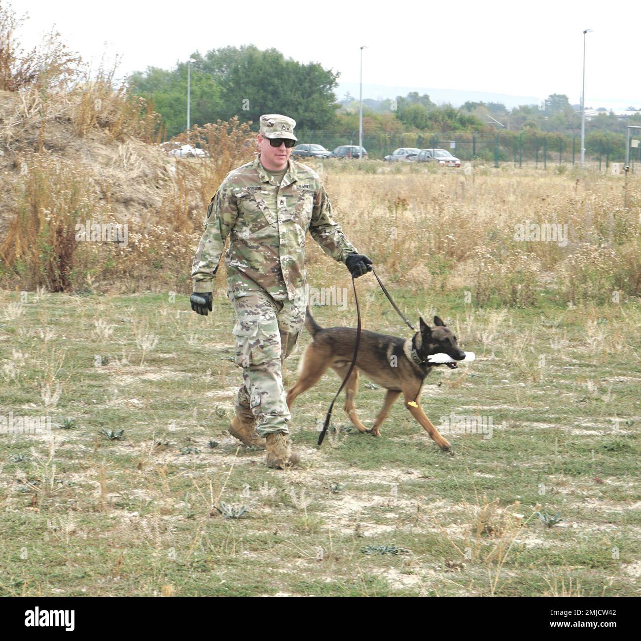 Military working dog Iivar gets his well-earned treat – a chew toy ...