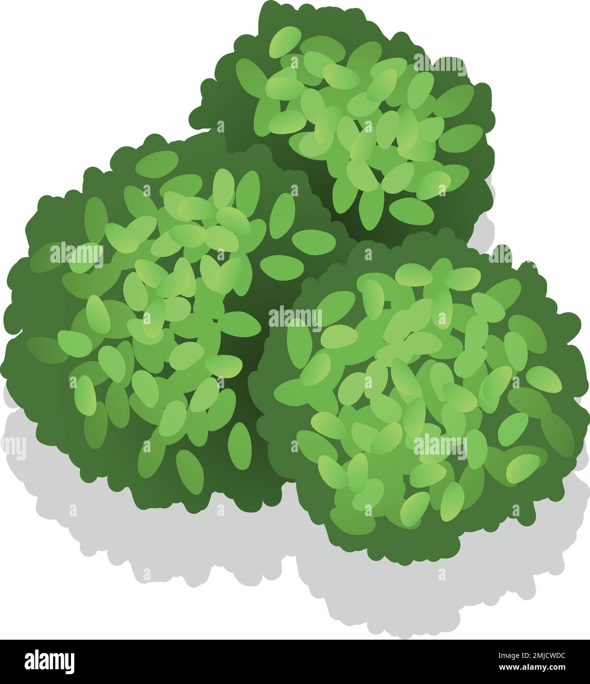 Round bush foliage. Landscape design plan element Stock Vector Image ...