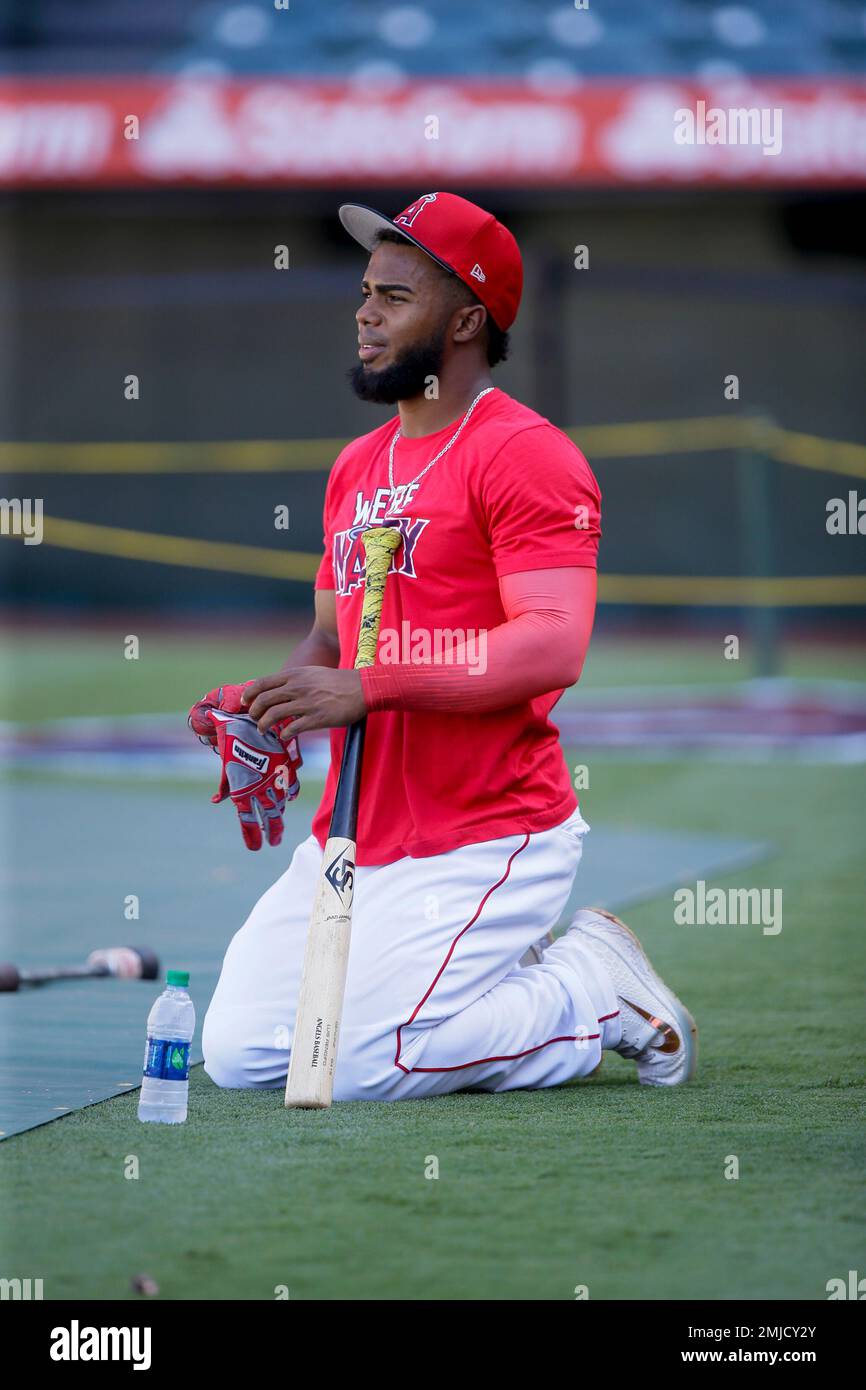 Los Angeles Angels' Luis Rengifo puts on his gloves during warmups ...