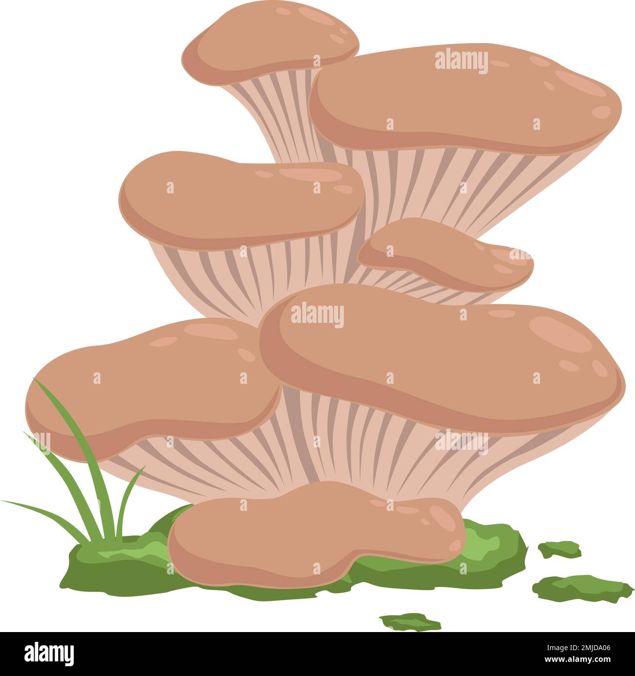 Oyster mushroom in green moss. Cartoon fungus icon Stock Vector Image ...