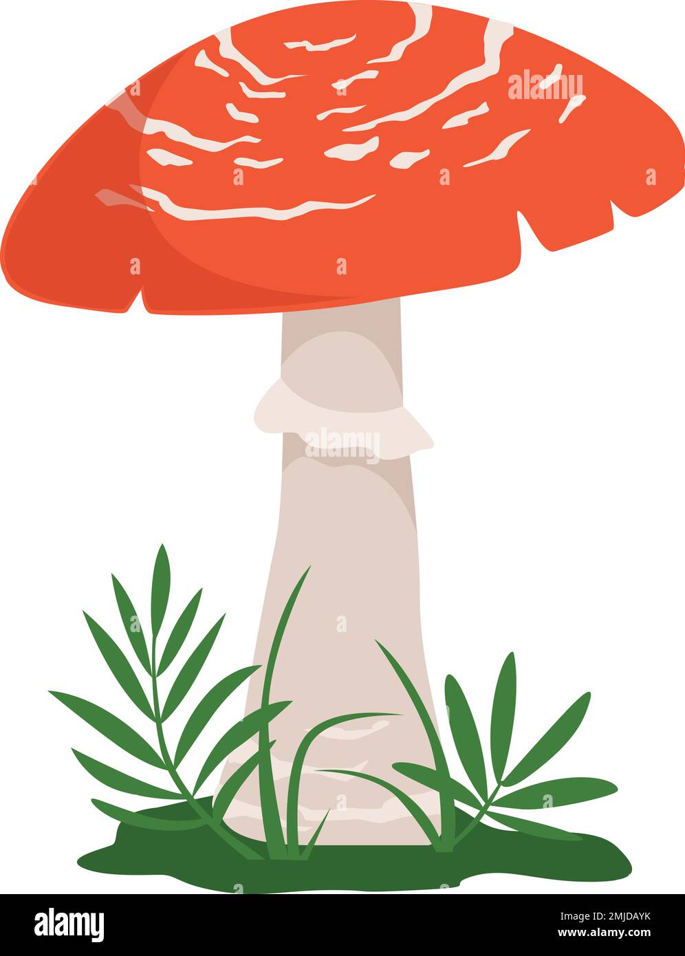 Fly amanita mushroom in forest Stock Vector Images - Alamy