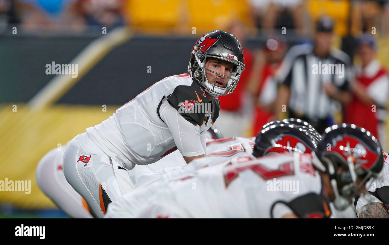 Tampa Bay Buccaneers quarterback Ryan Griffin (4) lines up behind ...