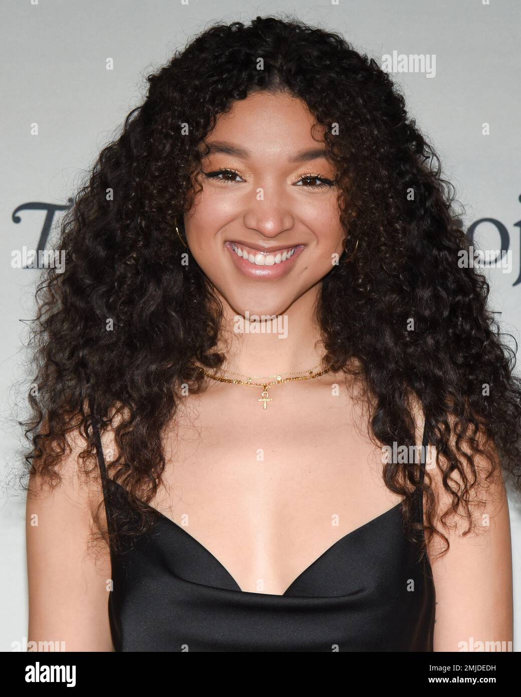 26 January 2023 - Los Angeles, California - Gabrielle Elyse. Hulu's ...