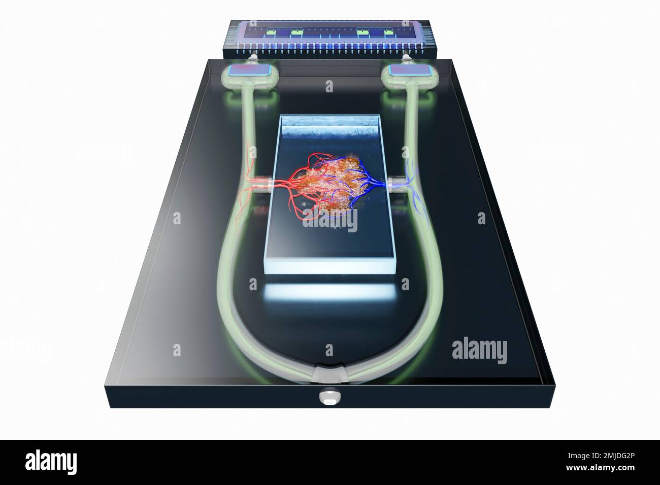 Biomechanical systems hi-res stock photography and images - Alamy