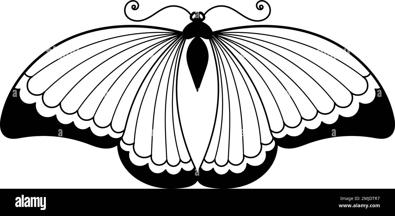 Butterfly ink drawing. Decorative elegant winged insect Stock Vector ...