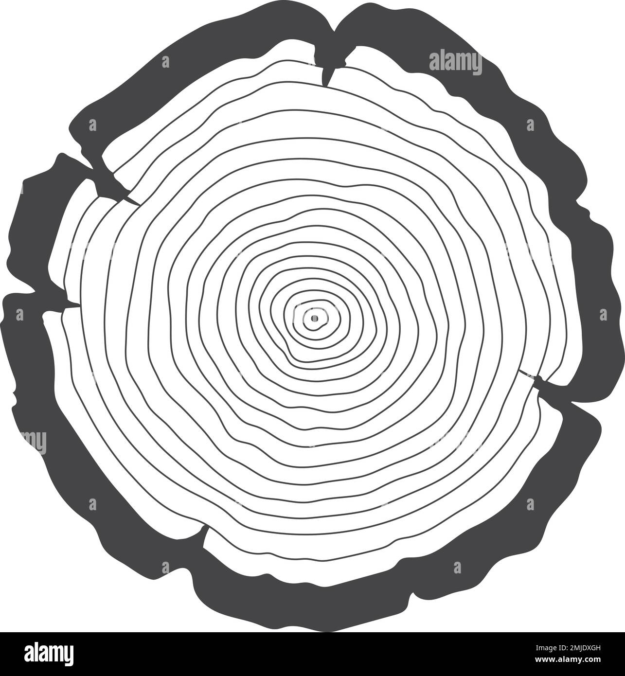 Ring timber Black and White Stock Photos & Images - Alamy