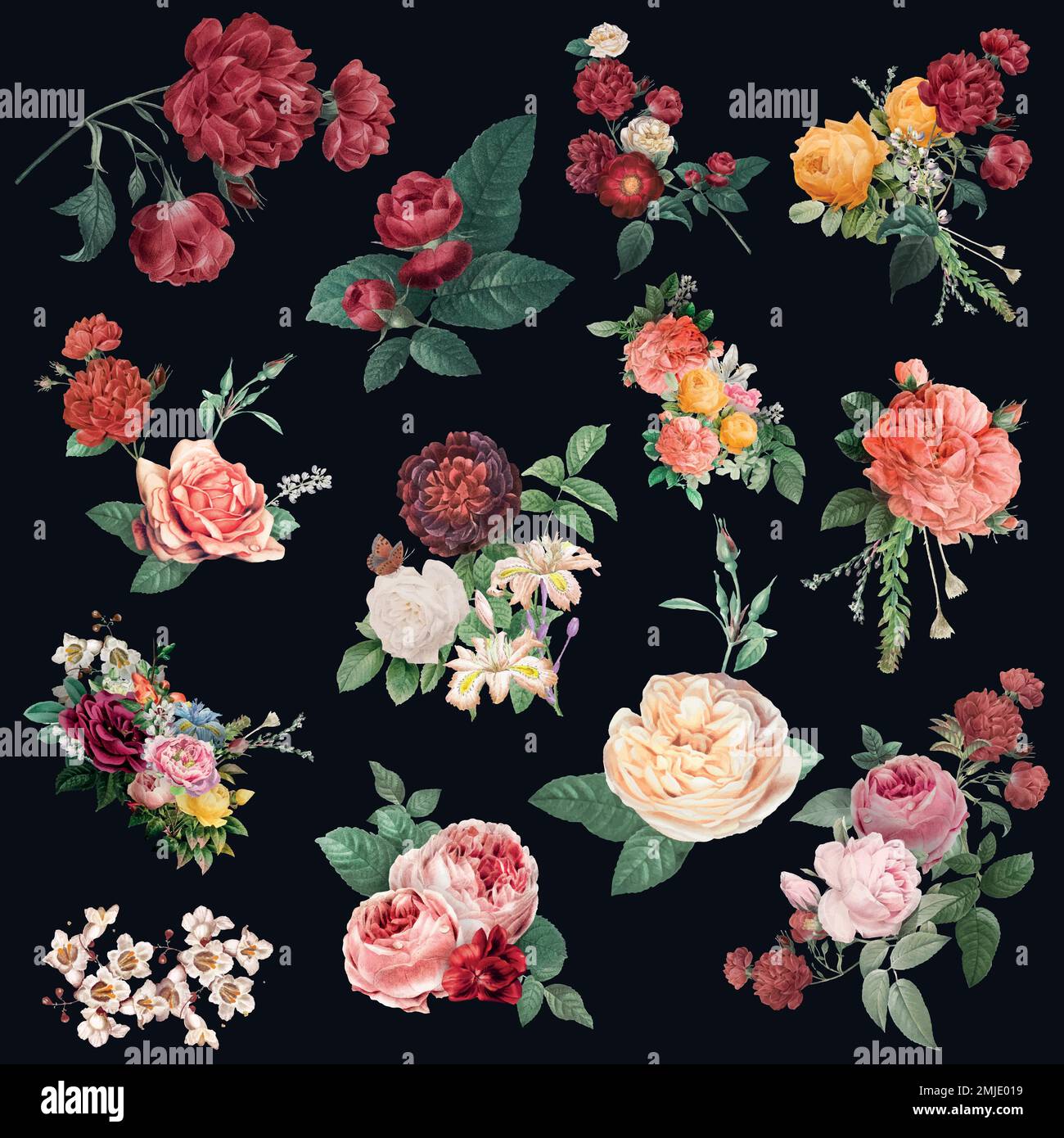 Colorful flowers vector watercolor illustration collection Stock Vector ...