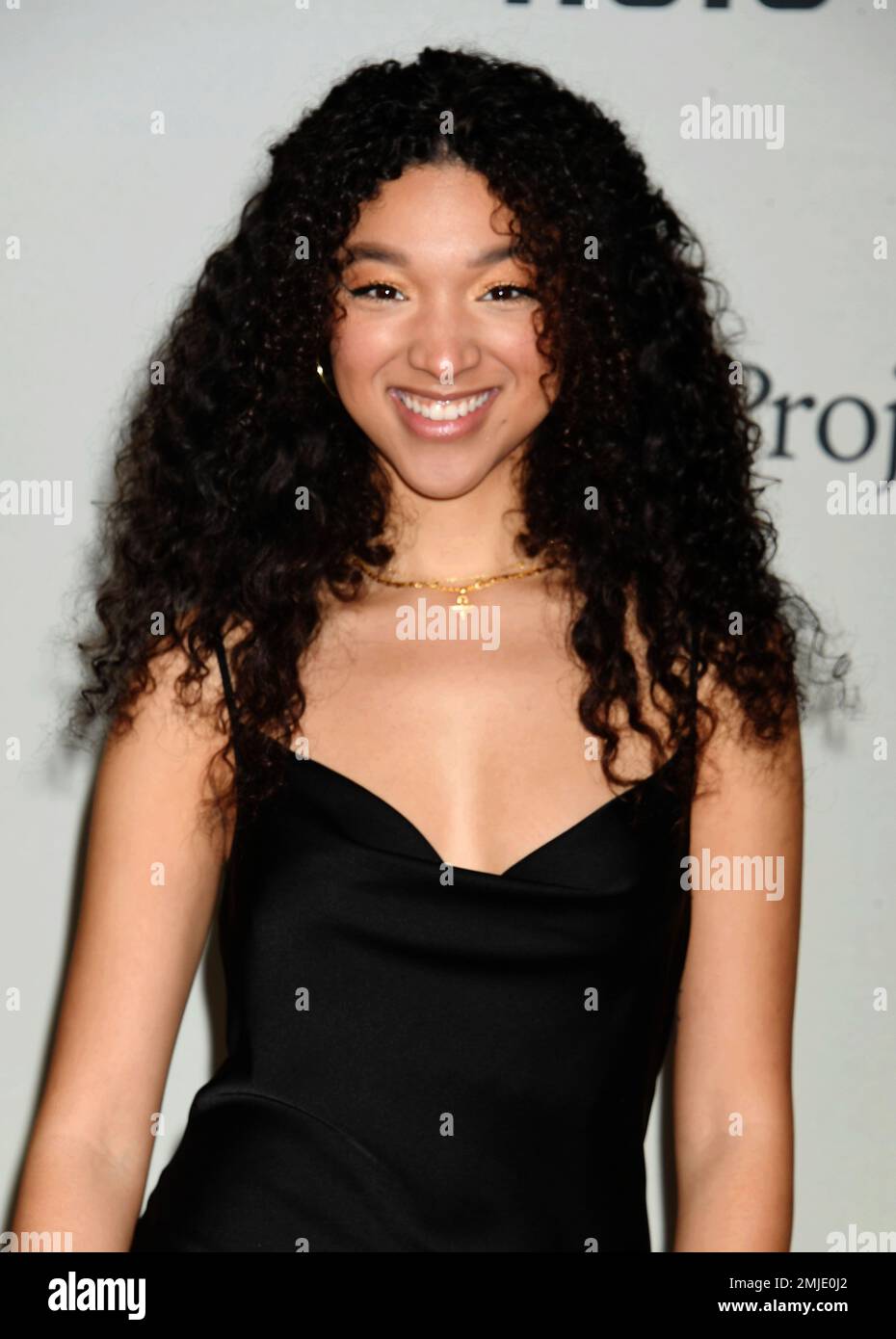 LOS ANGELES, CALIFORNIA - JANUARY 26: Gabrielle Elyse attends the Los ...