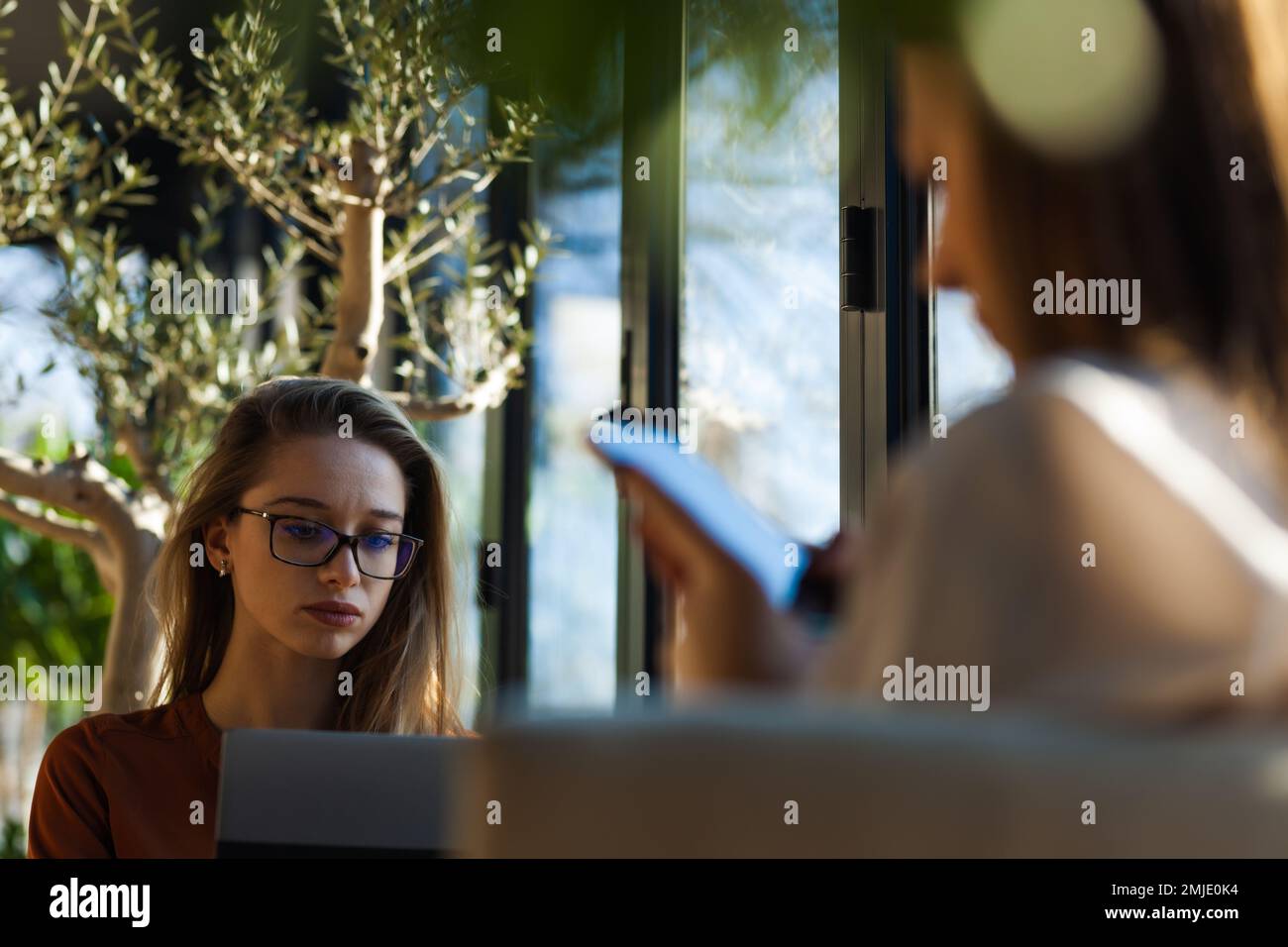 Two young business women in a cafe having one on one meeting. Friends ...