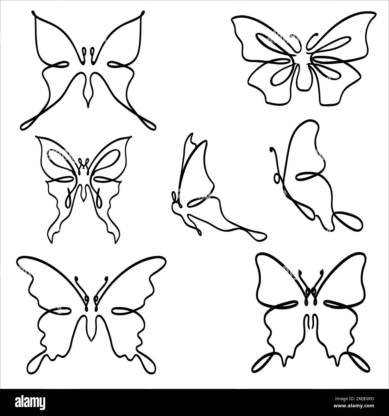 Butterfly vector illustration, hand drawn contour lines and strokes ...