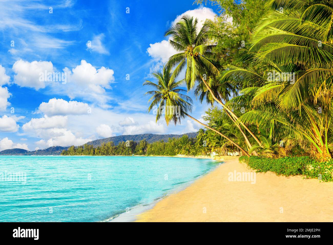 Beautiful Beach Landscape Photography