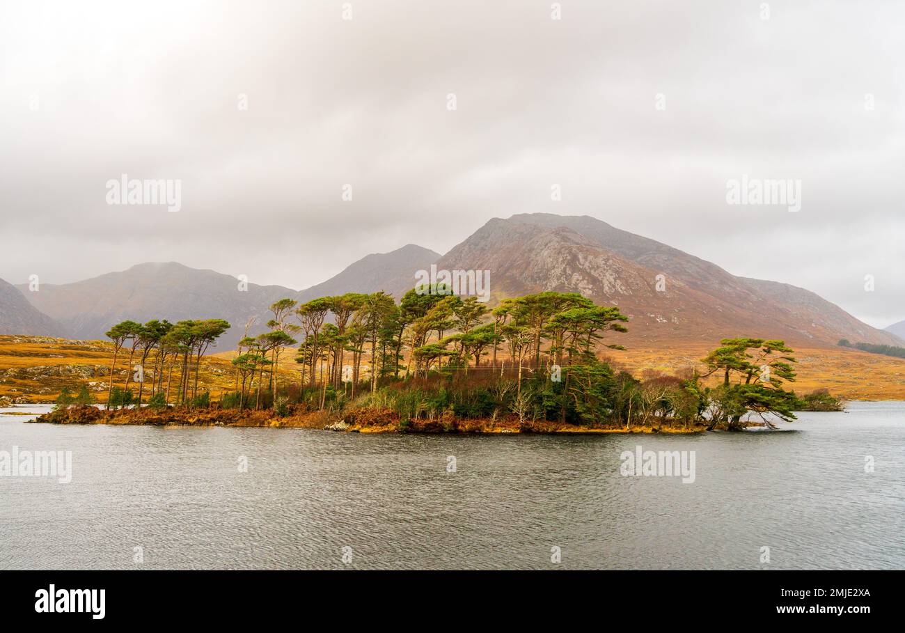 Connemara winter hi-res stock photography and images - Alamy