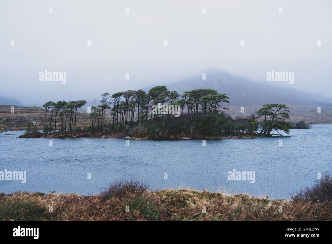 Connemara winter hi-res stock photography and images - Alamy