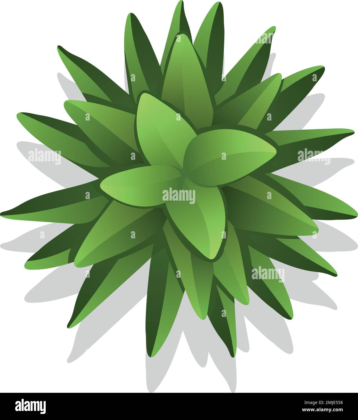 Aerial view botanical garden Stock Vector Images - Alamy