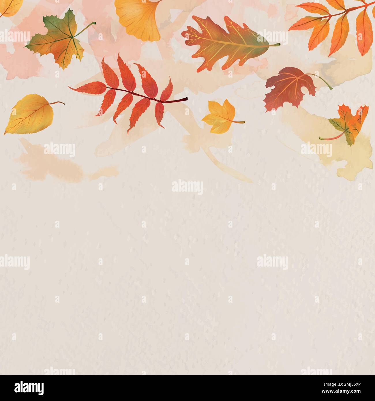Fall leaves beige background vector Stock Vector Image & Art - Alamy
