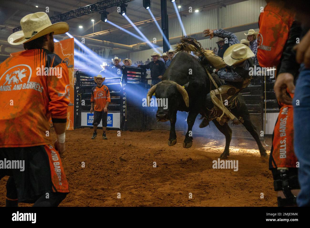 An American bull-riding professional attempts to stay mounted on a ...
