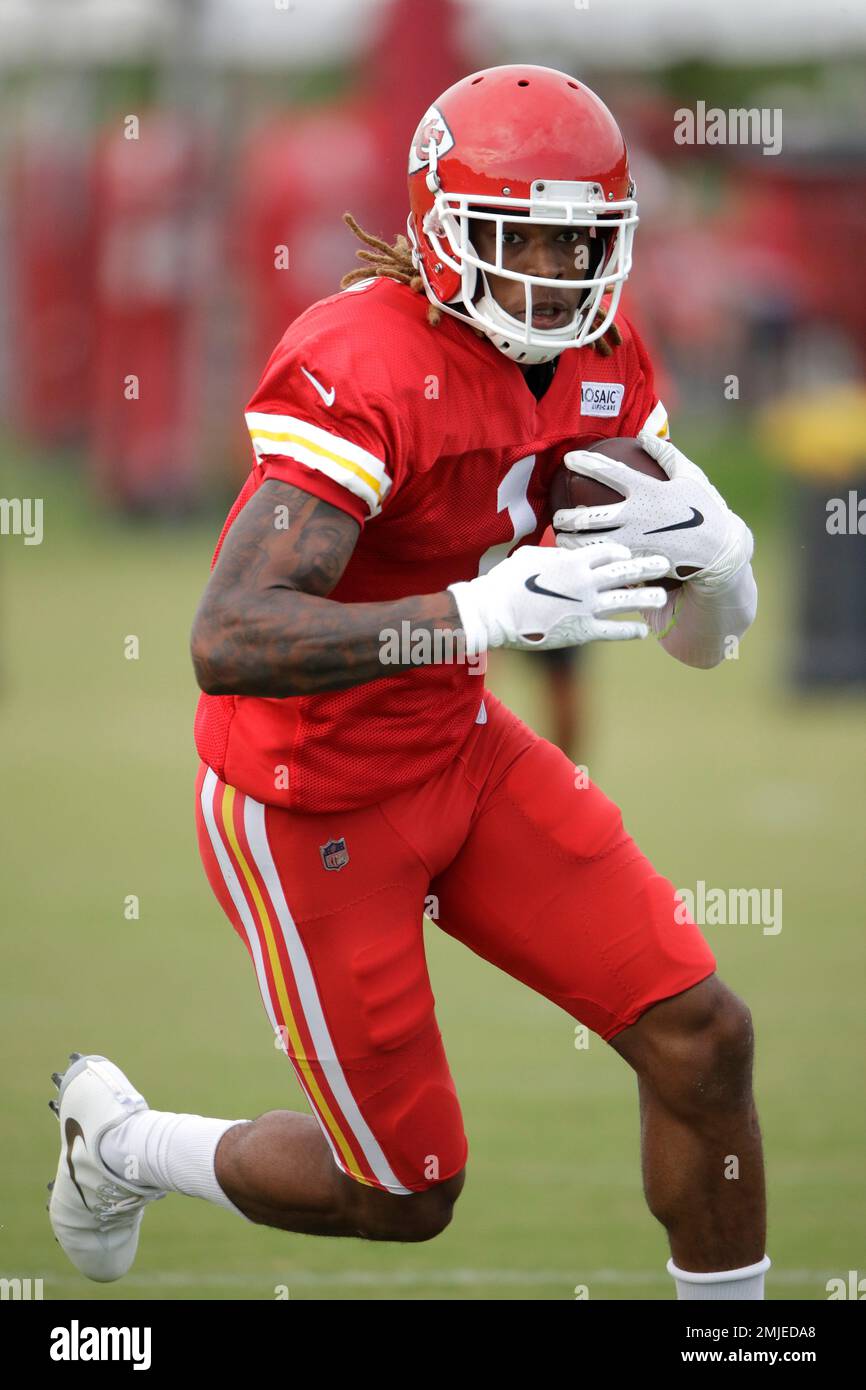 Kansas City Chiefs tight end Jody Fortson runs the ball during NFL ...