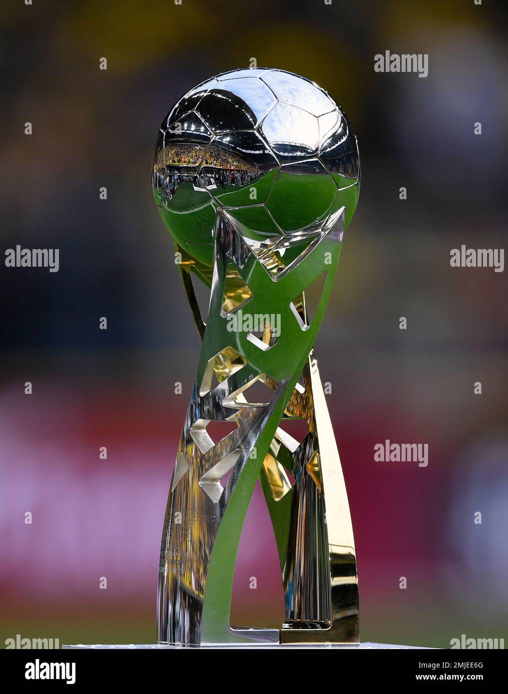 The Supercup trophy is pictured prior to the German Supercup final ...