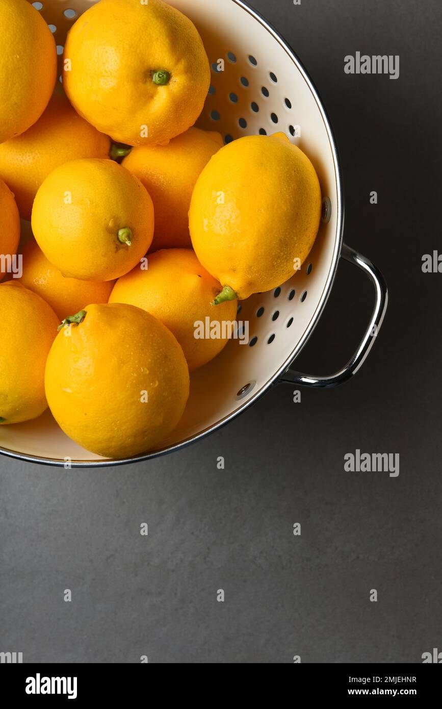 Fresh picked lemons in a white colander on a gray slate tile with copy ...
