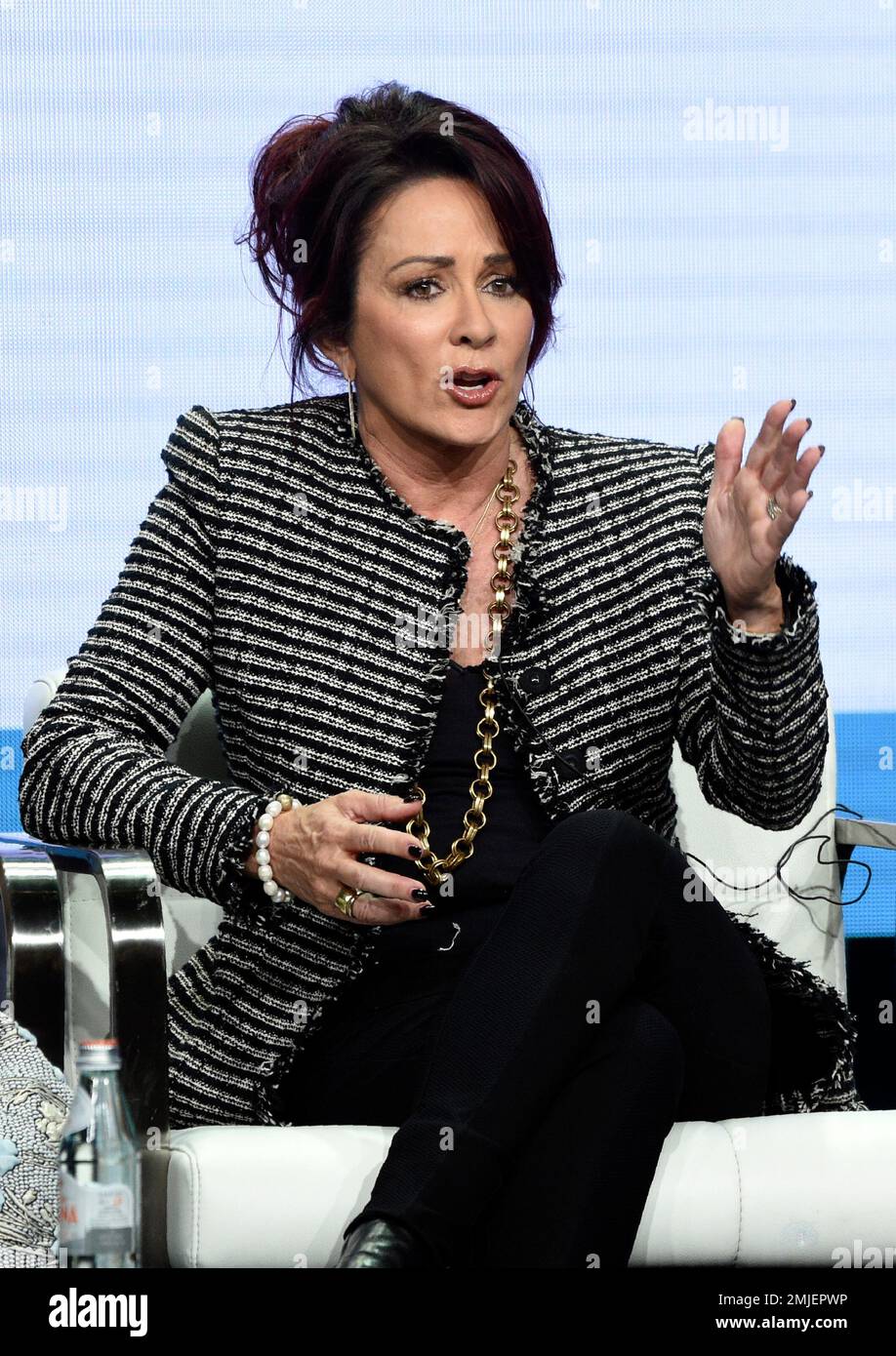 Patricia Heaton, star/executive producer of the CBS series "Carol's ...