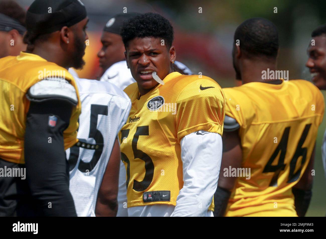Pittsburgh Steelers linebacker Devin Bush (55) during an NFL football ...