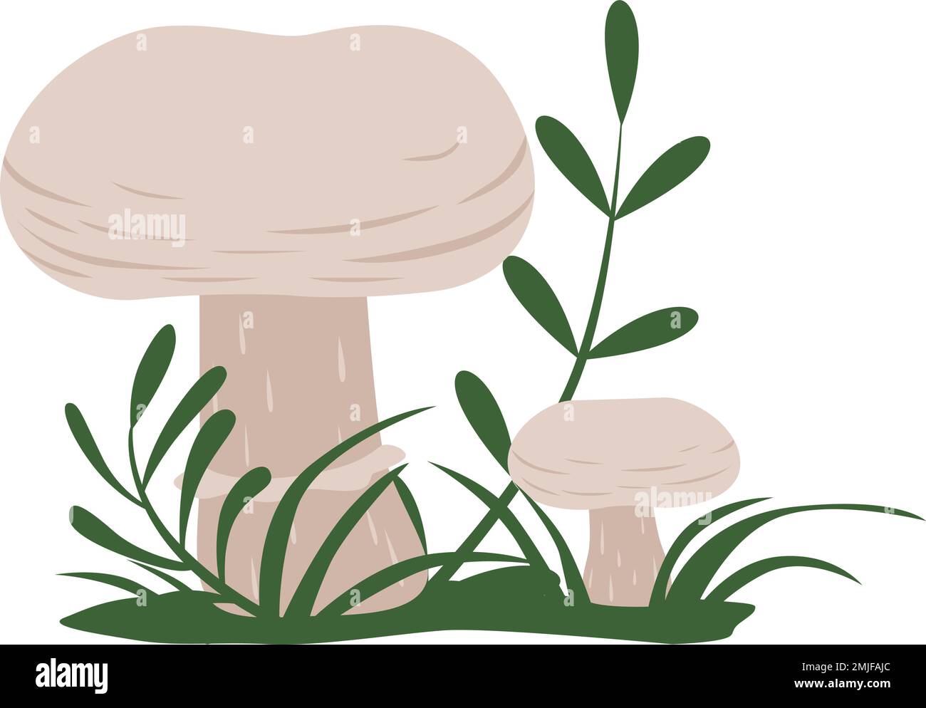 White mushrooms growing on Stock Vector Images - Alamy