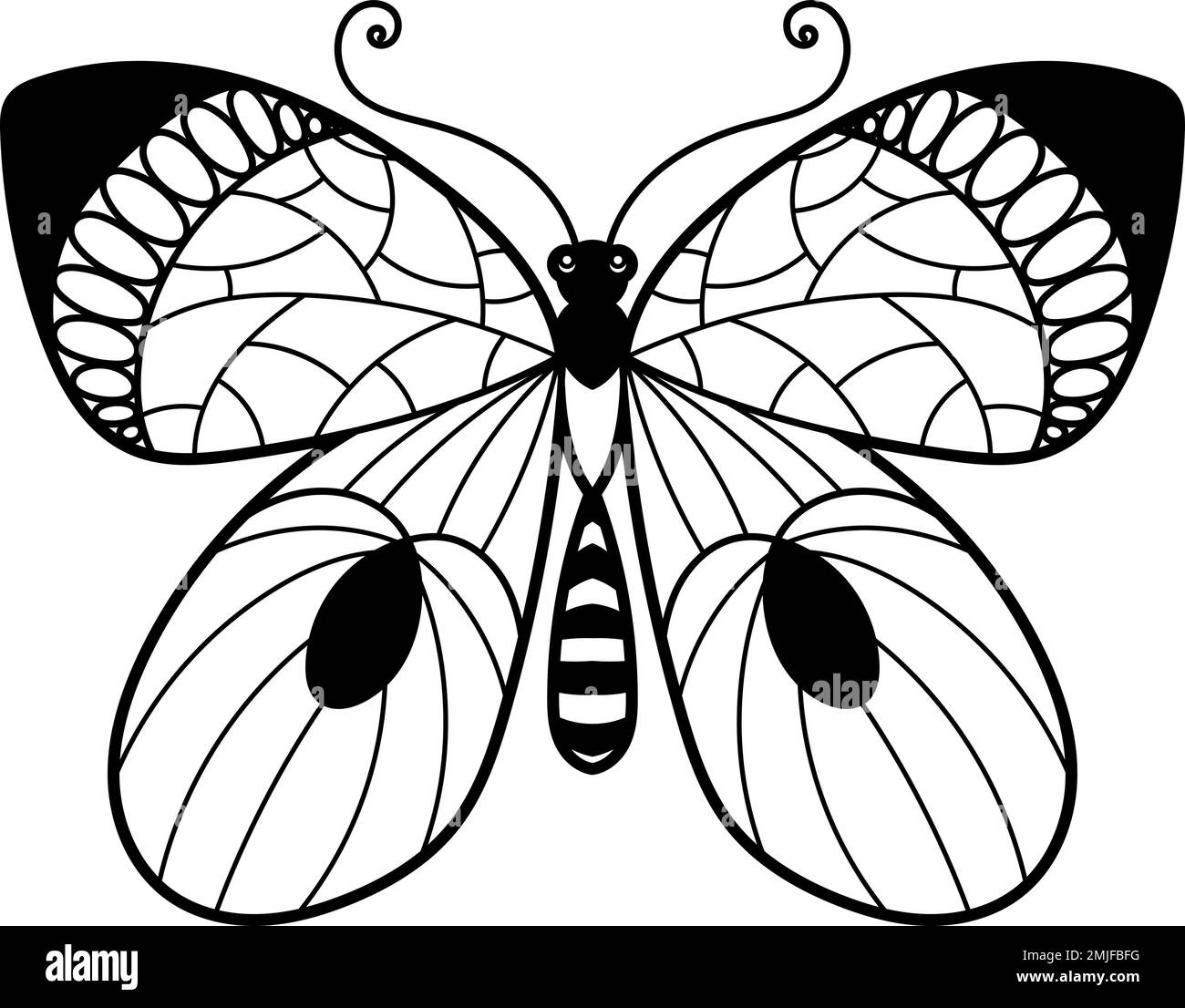 Ornate butterfly with decorative patterned wings. Black moth Stock ...