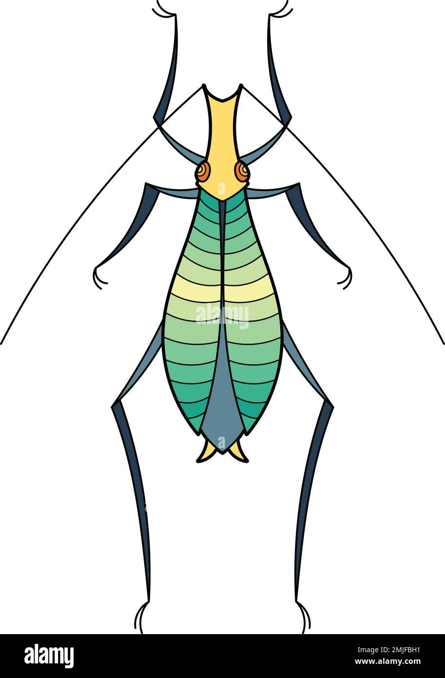 Green bug. Decorative natural insect in decorative ornate style Stock ...