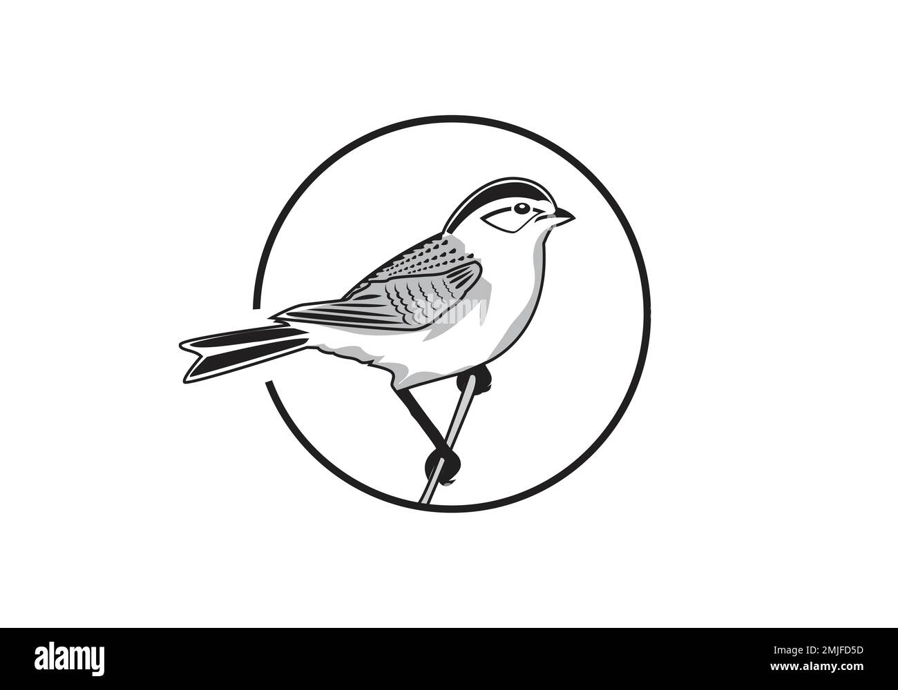 Bird Logo Design Stock Vector Image And Art Alamy