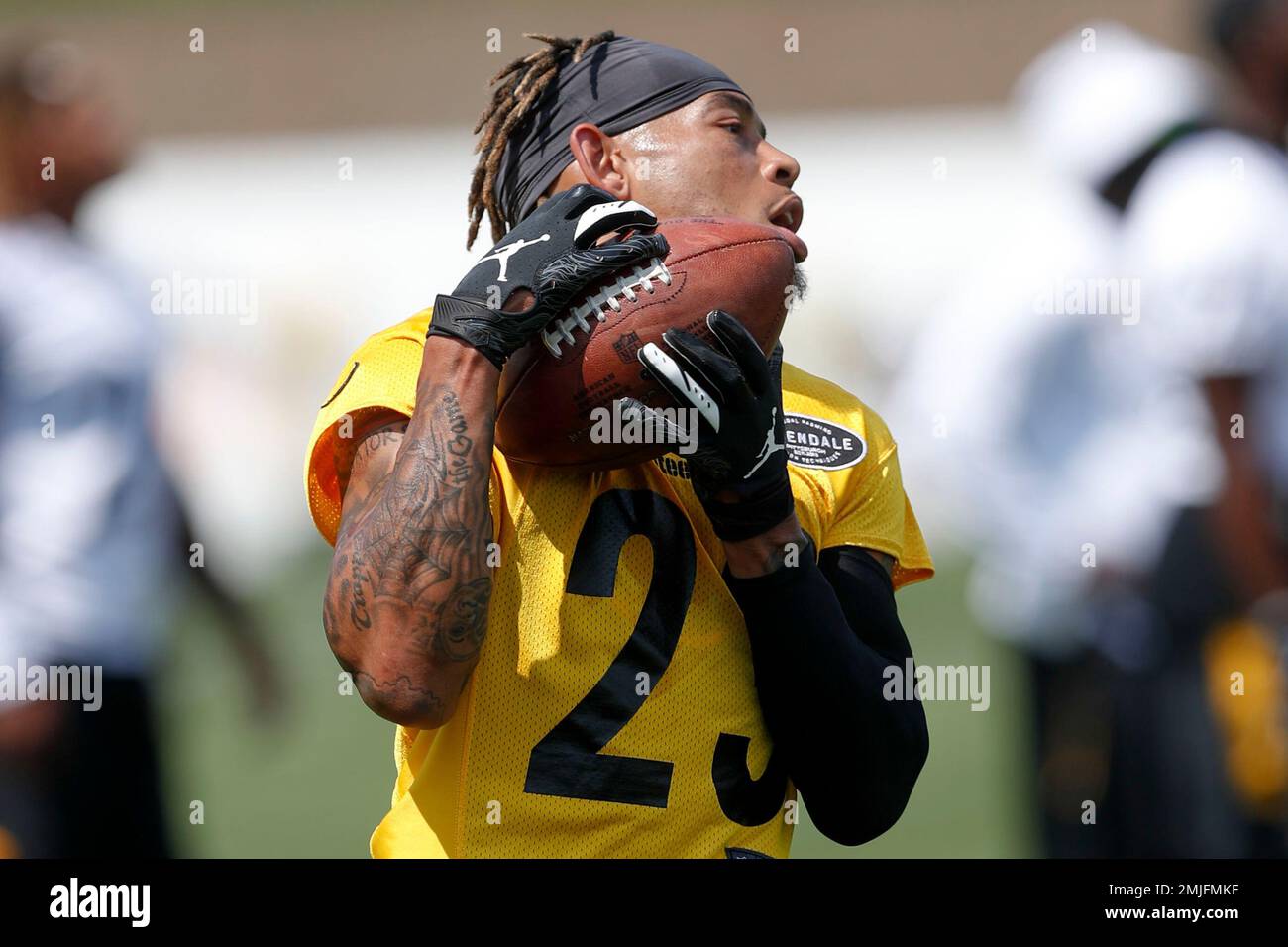 Pittsburgh Steelers cornerback Joe Haden (23) during special teams ...
