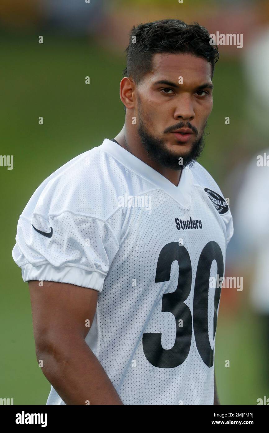 Pittsburgh Steelers running back James Conner (30) during an NFL ...